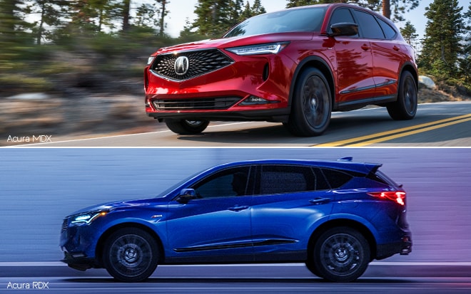 2024 Acura RDX Vs. 2024 Acura MDX: In-Depth Comparison