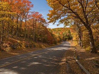Connecticut New & Used Subaru Dealer Branford | Hamden, East Haven ...
