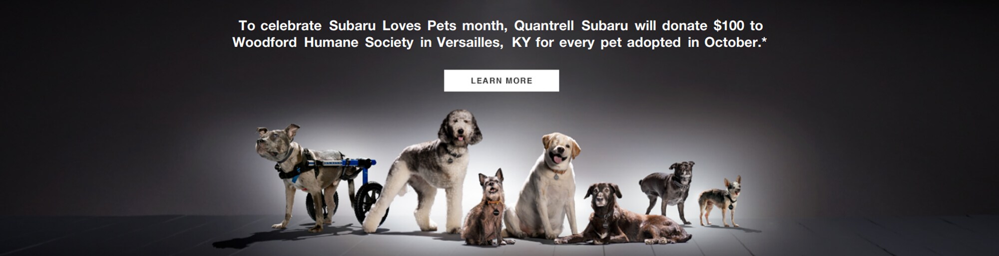 Quantrell Subaru | New & Used Car Dealership in Lexington KY