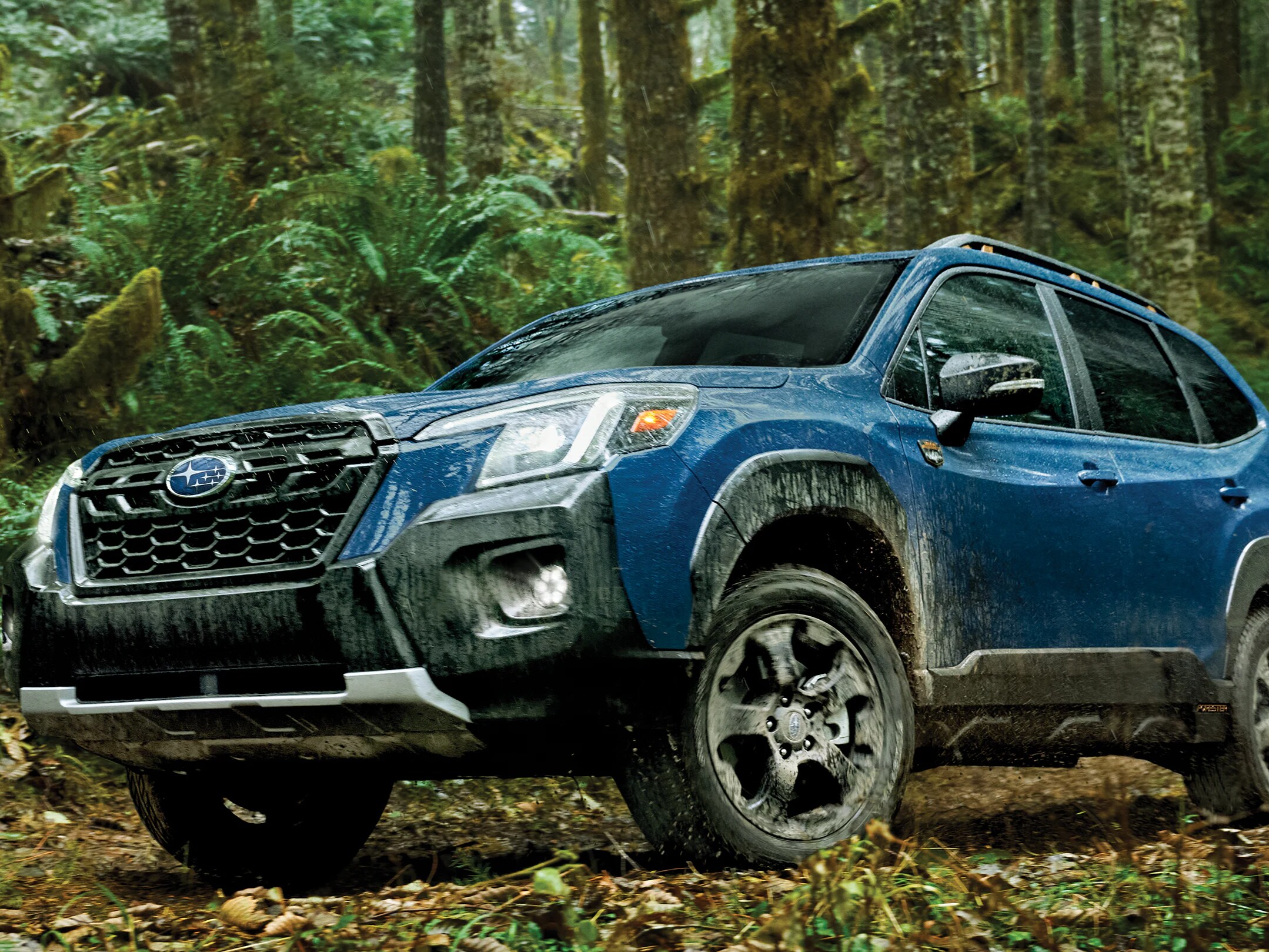 2024 Subaru Outback vs. 2024 Subaru Forester | Quirk Subaru of Bangor