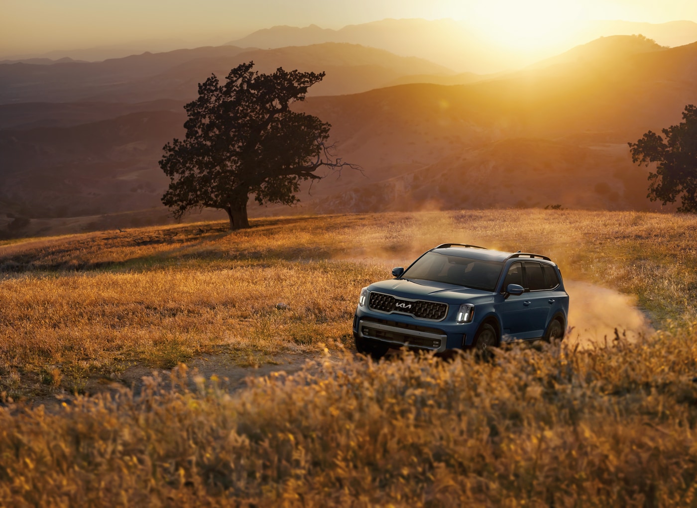 New Nissan & Kia and Used Car Dealer in Springfield, MO | Springfield ...