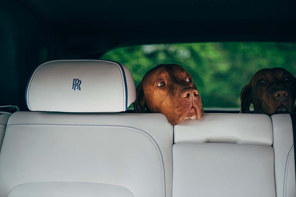 Rolls-Royce Motor Cars Raleigh: Nationwide Shipping Available