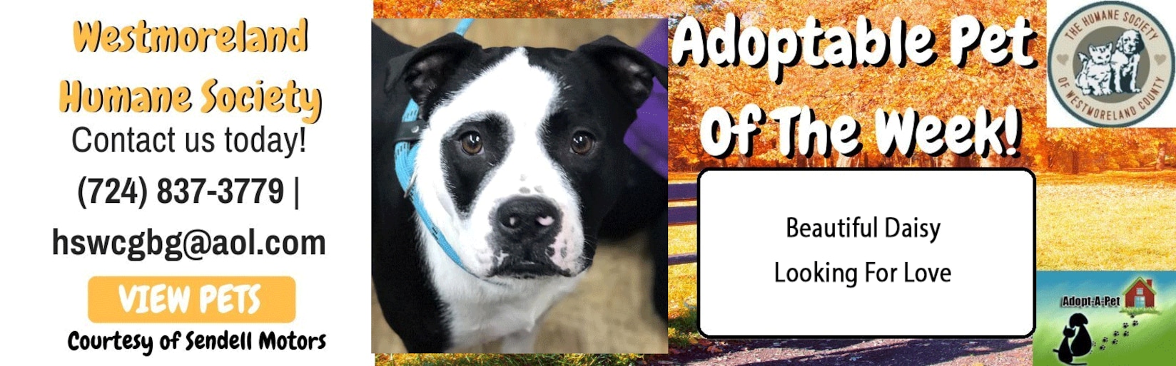 Sendell Motors | New Volkswagen, Mitsubishi, Subaru Dealership in ...