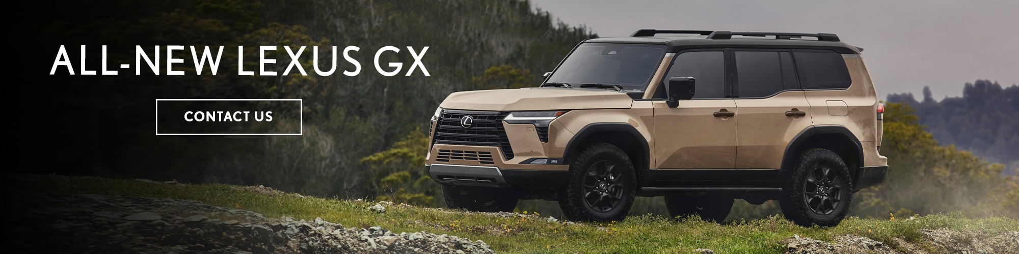 New and Pre-Owned Lexus Dealer Fort Worth | Sewell Lexus of Fort Worth