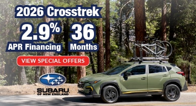Startex Seats vs. Leather Seats: Which Should I Go With? | Granite Subaru