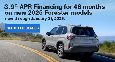 Dan Perkins Subaru | Subaru Dealer in Milford CT