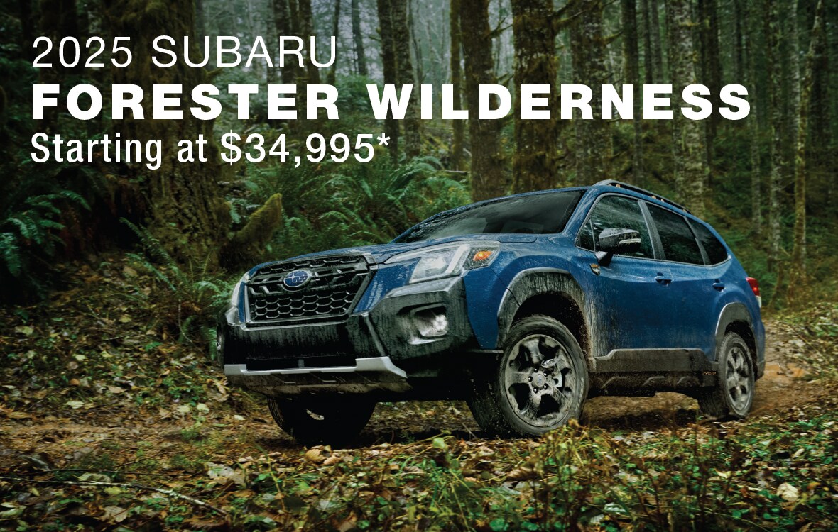 Subaru Car & SUV Showroom Ramsey NJ | Mahwah | Ridgewood