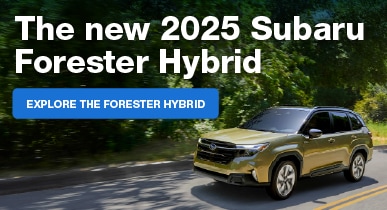 2025 Subaru Outback Trim Level Comparison