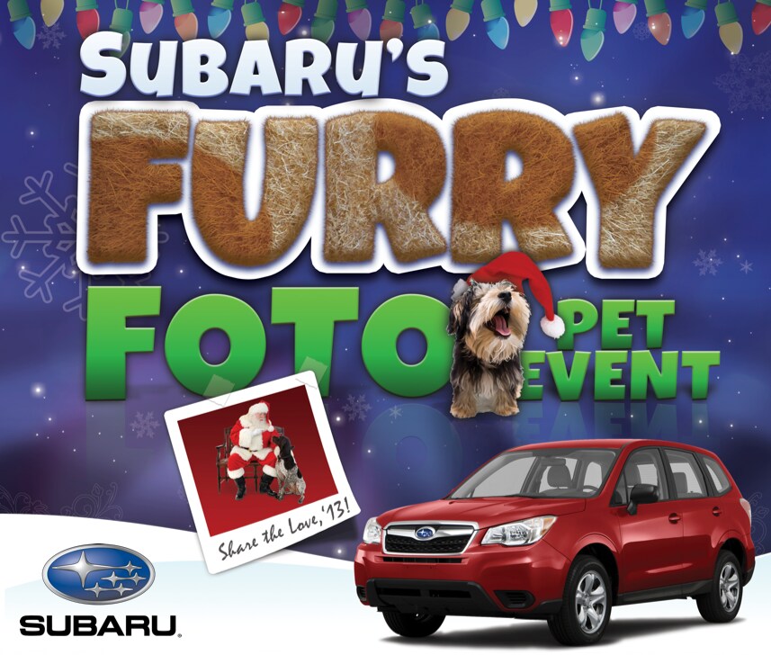Furry Foto | Grand Subaru