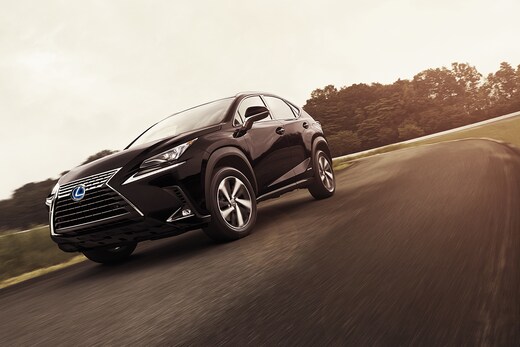 Lexus of Marin | Bay Area Lexus Dealership in San Rafael, CA