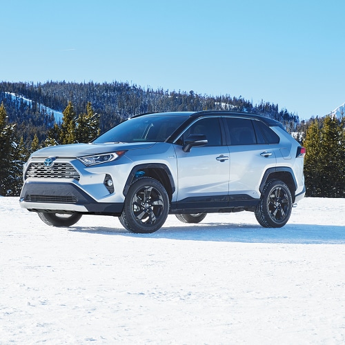 2022 Toyota RAV4 Hybrid SUVs in Denver | Mountain States Toyota