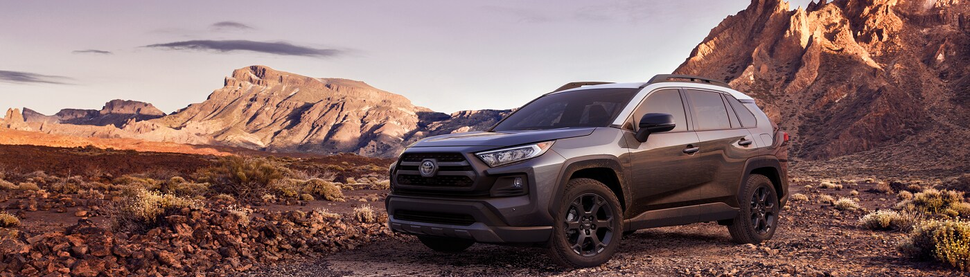 2023 Toyota RAV4 in Denver, CO | Mountain States Toyota