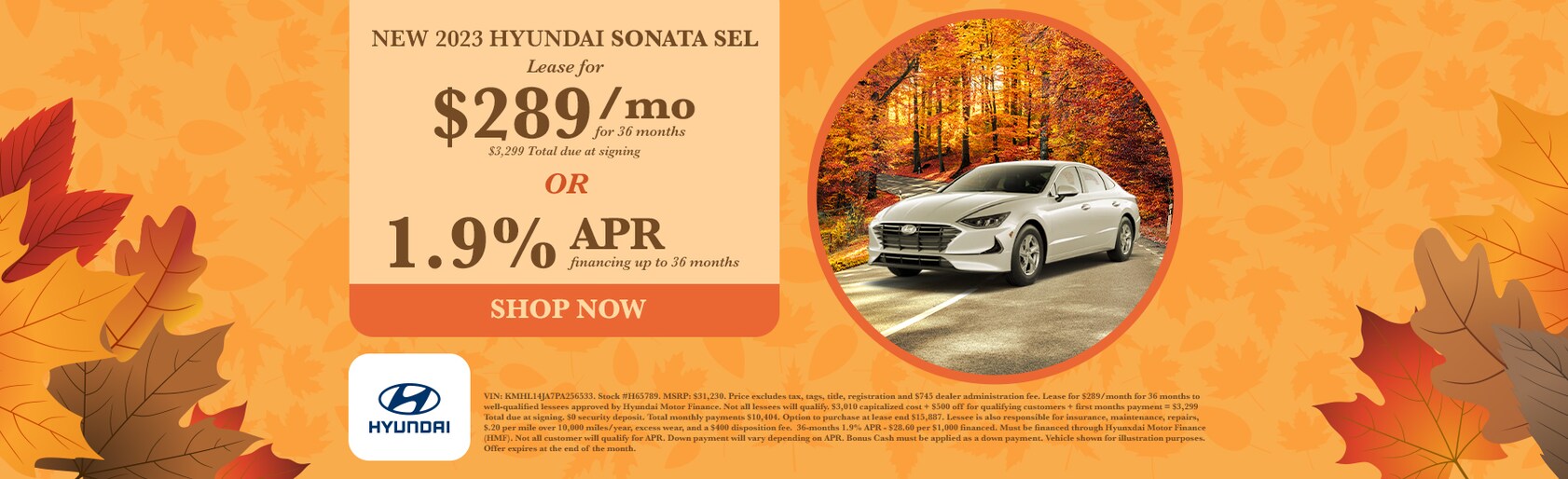 Southern States Hyundai of Raleigh | New Hyundai & Used Car Dealer ...