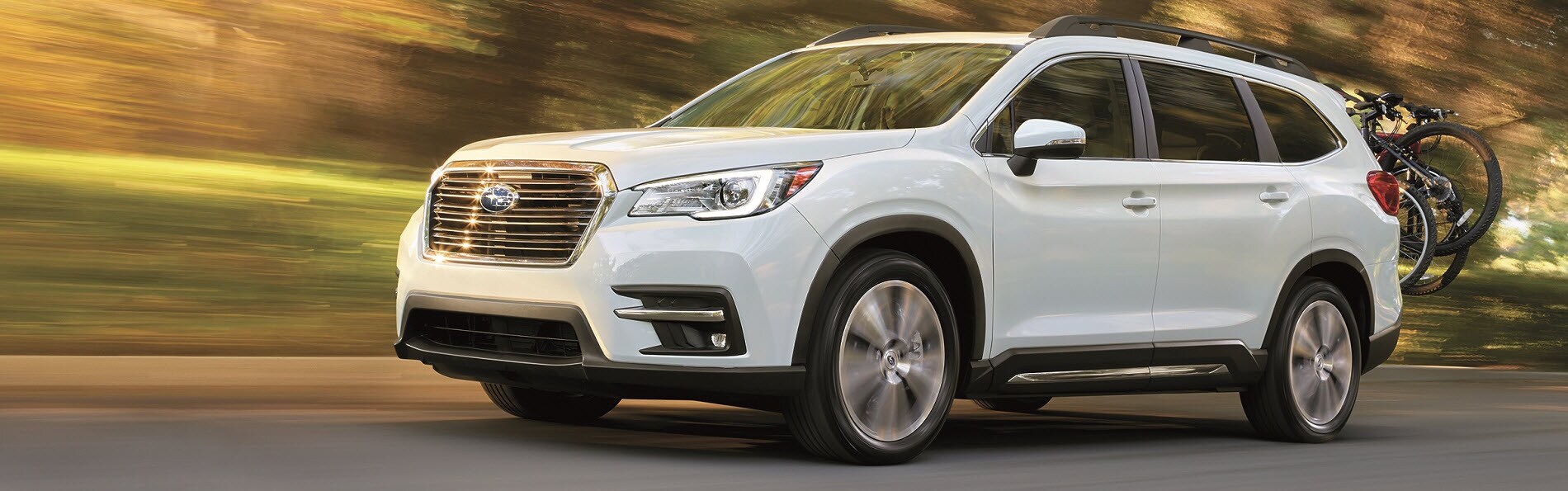 Subaru Dealer near Me | South Shore Subaru