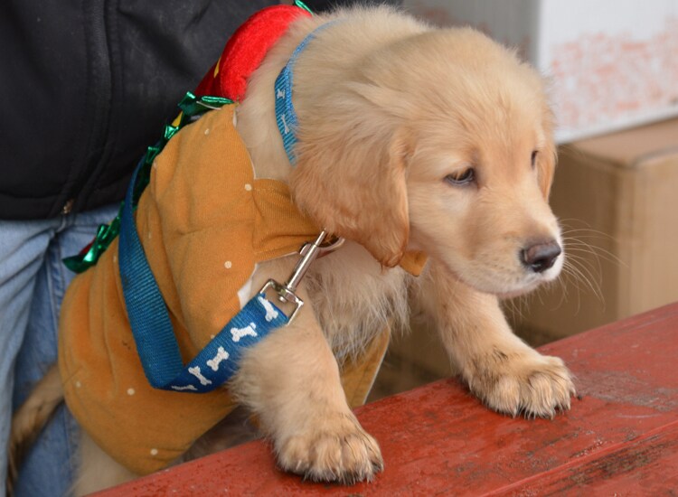 Spangler Subaru | Johnstown, PA | New 2020 Subaru and Used Car Dealership