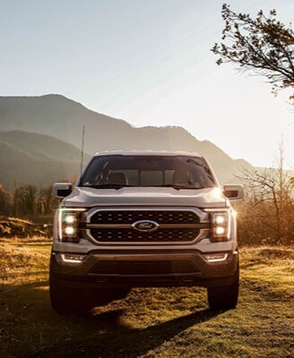 New Ford and Used Car Dealer Serving Yorkville | Steet-Ponte Ford