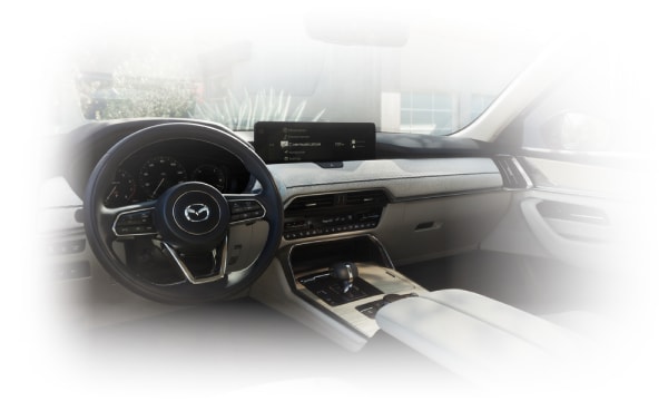 Napleton Mazda Group At The Chicago Auto Show - Steve Napleton’s Mazda ...