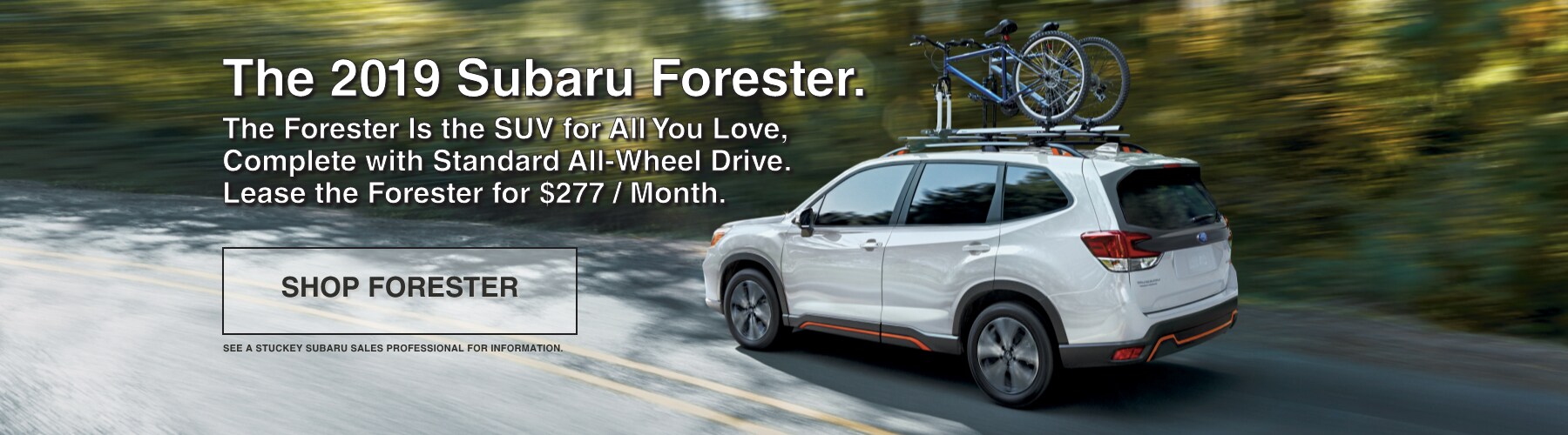 Stuckey Subaru | Subaru Dealership in Hollidaysburg PA.