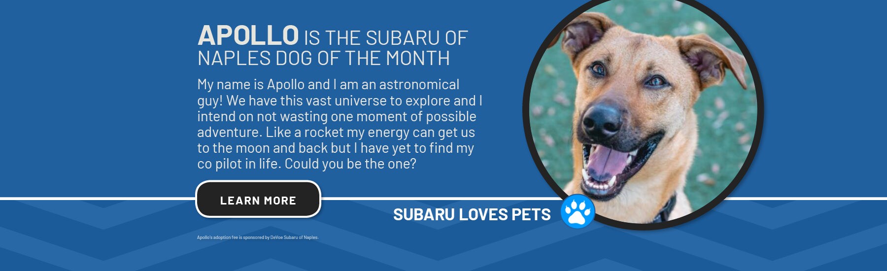 New 2019-2020 Subaru & Used Car Dealer in Naples, FL - Subaru of Naples ...