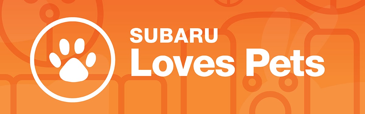 Subaru Loves Pets 2017 | Subaru of New England