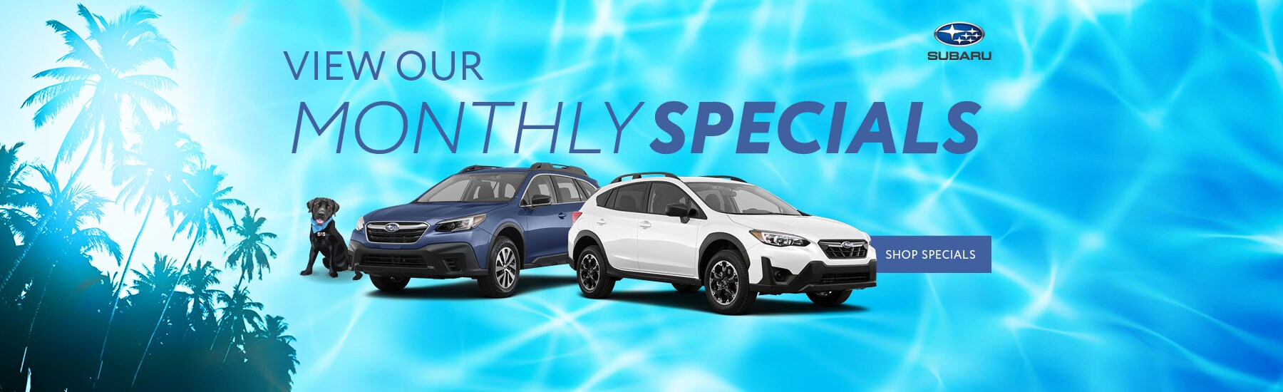 New Subaru and Used Car Dealer Serving Tampa | Subaru South Tampa