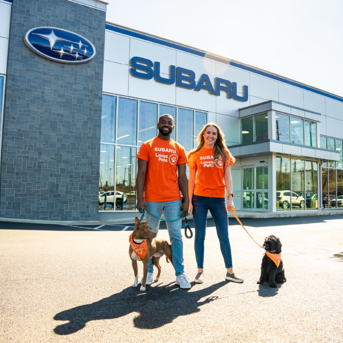 Suburban Subaru Loves Pets | Suburban Subaru