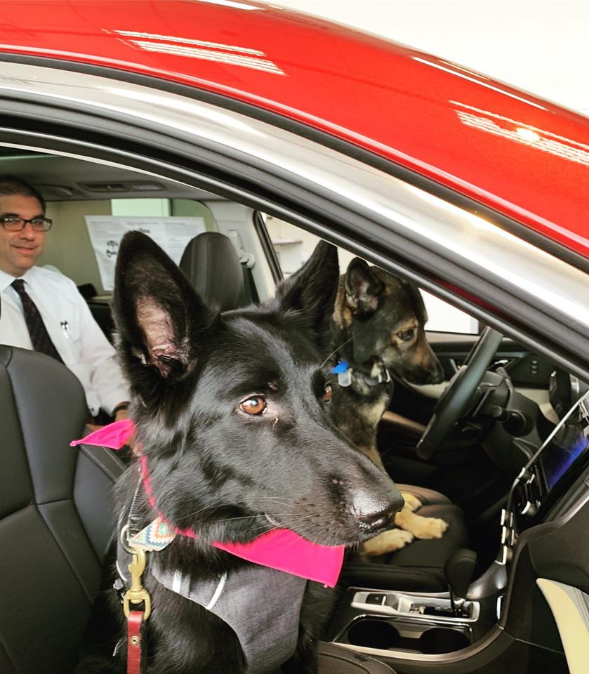 Suburban Subaru: Vernon CT Subaru Dealer