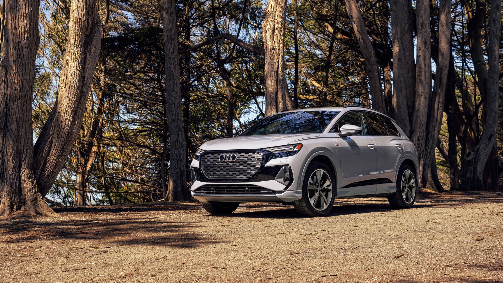 Test Drive a 2025 Audi Q8 e-tron from The Audi Connection | The Audi ...