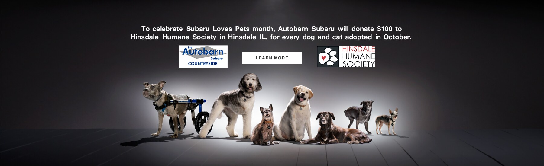 The Autobarn Subaru of Countryside, IL | Chicago Area Subaru Dealer