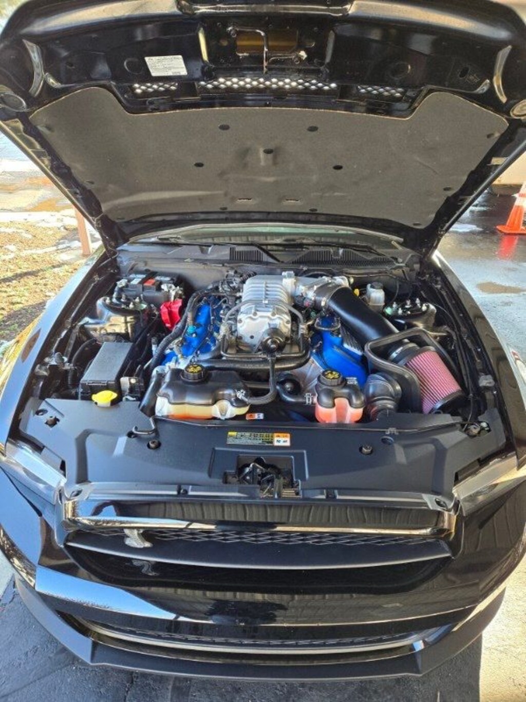 Used 2012 Ford Shelby GT500 For Sale | Pikeville KY