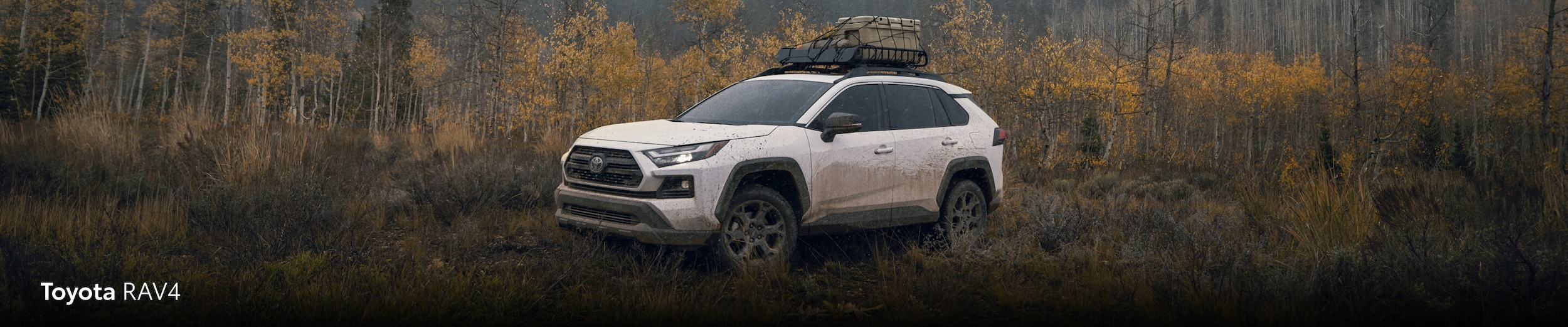 Toyota RAV4 Reliability Rating By Year