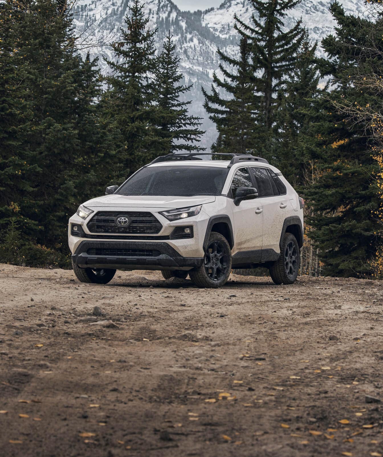 Toyota RAV4 Reliability Rating By Year