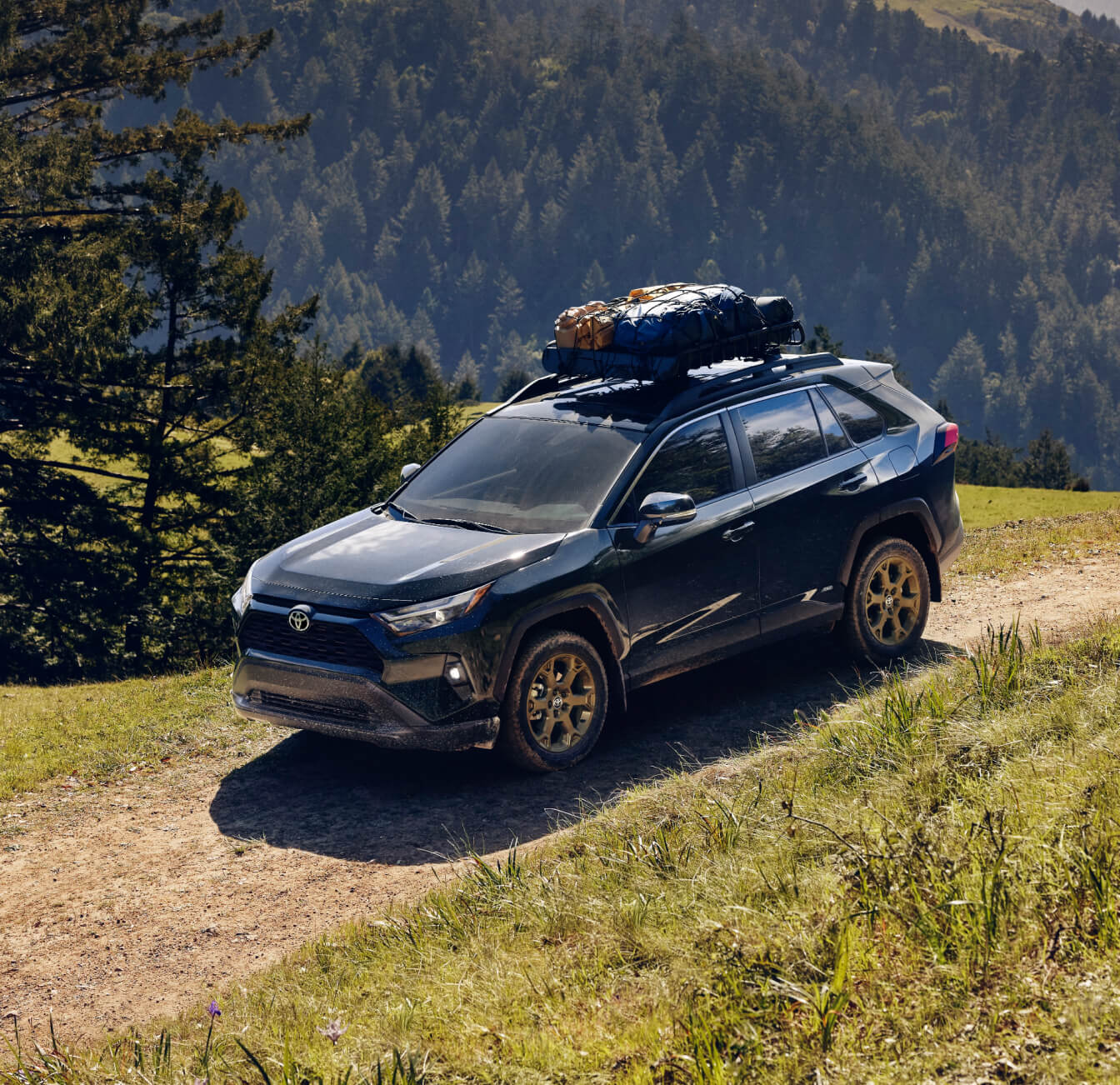 Toyota RAV4 Reliability Rating By Year