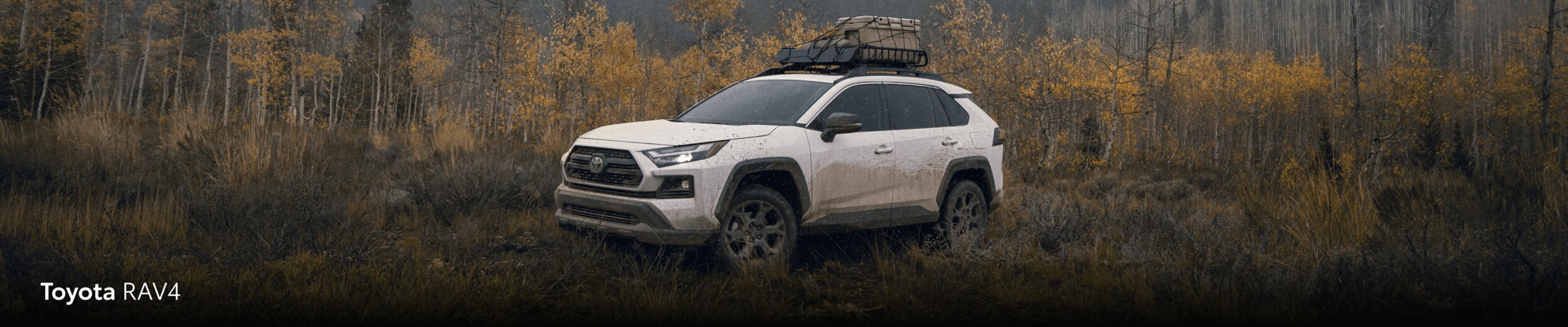 Toyota RAV4 Reliability Rating By Year