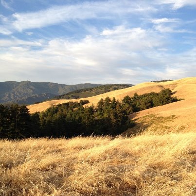 Help Phil, John and Land Rover get the Perfect Shot! | Tom Wood Land Rover