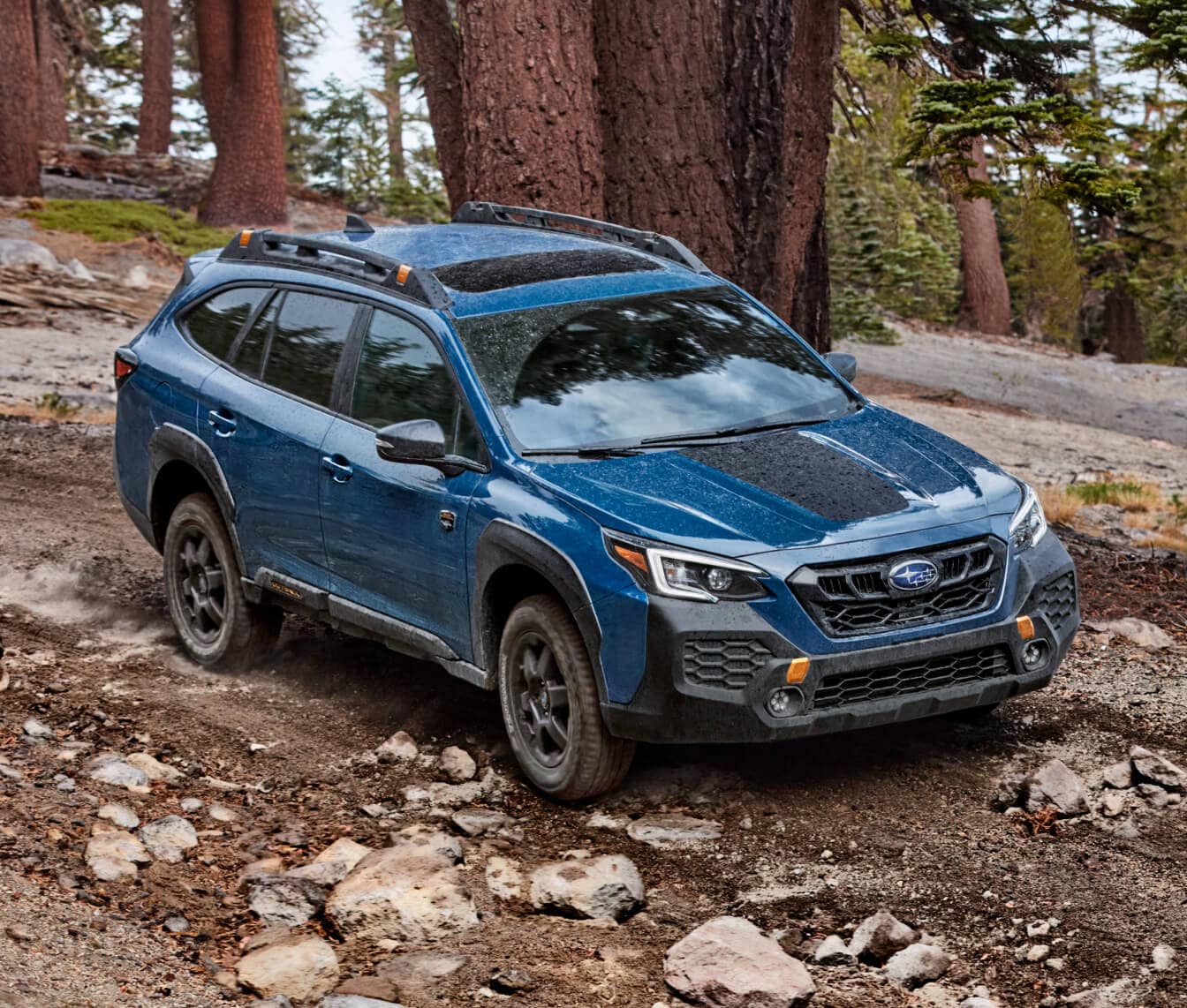 Subaru Outback Wilderness Specs | Colors, Interior, Features