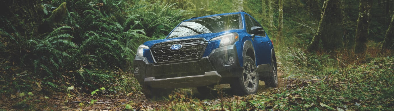 Subaru Maintenance Schedule: Informational Guide By Model