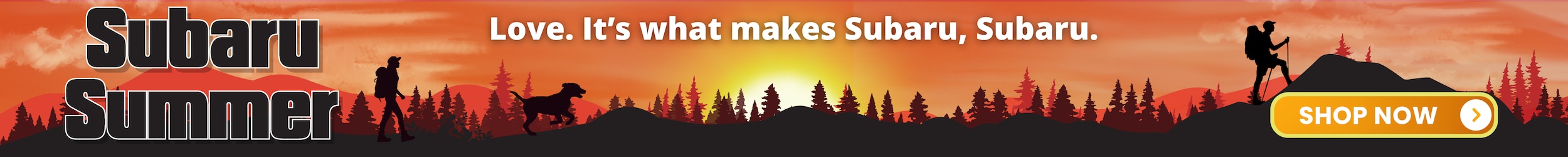 The Subaru Rewards Card From Chase | 802 Subaru