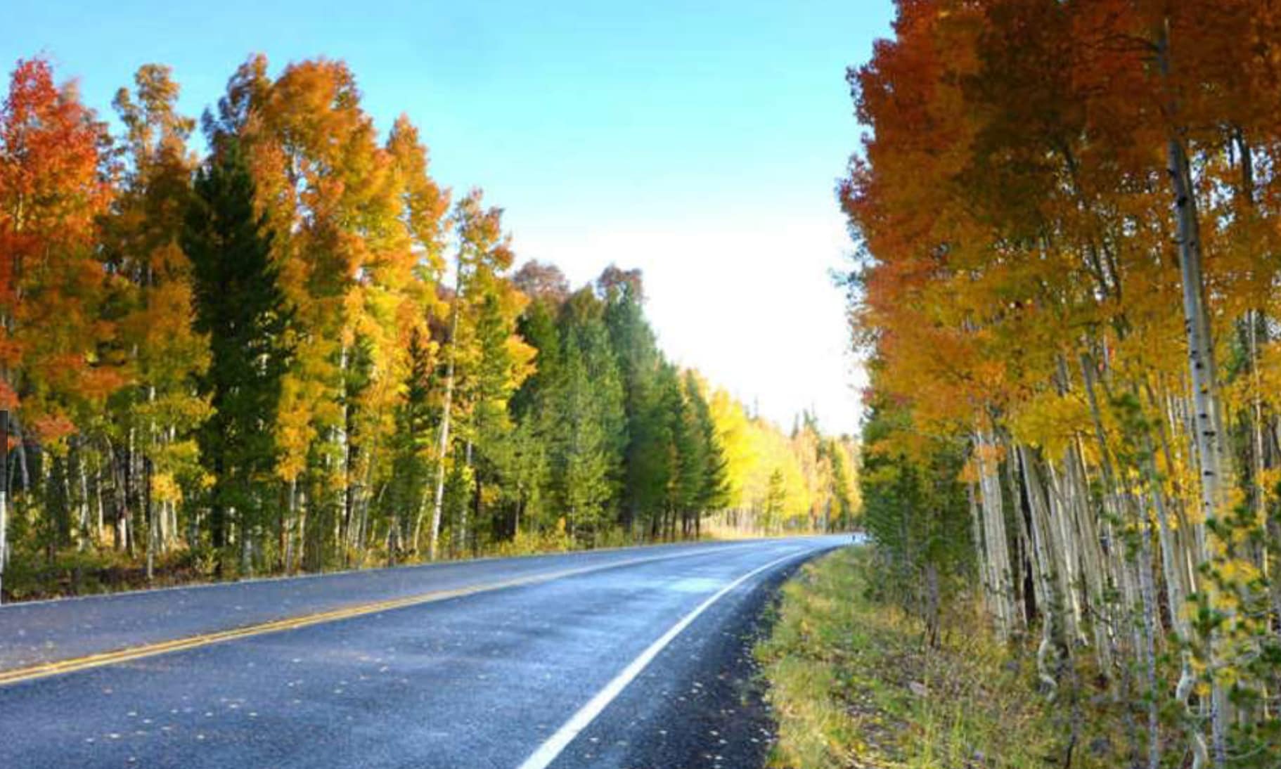 4 Fun activities your family will enjoy this fall