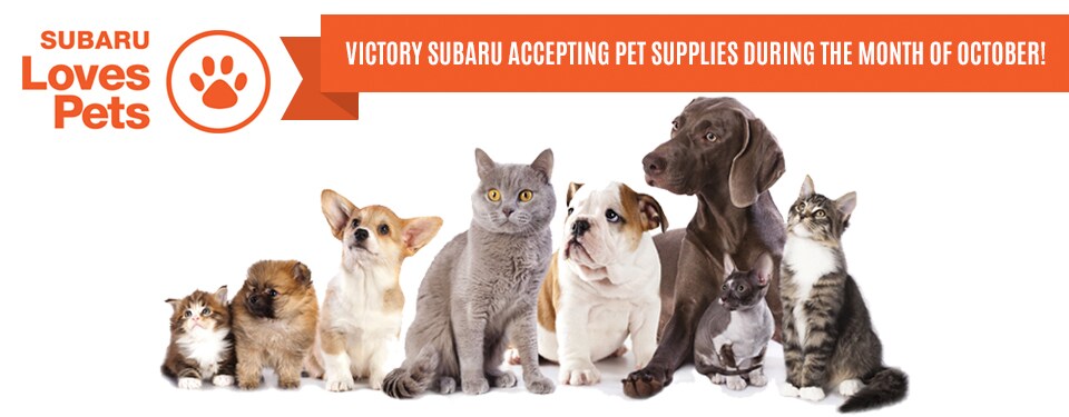 Subaru Loves Pets! | Victory Subaru