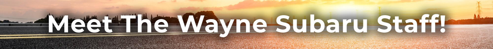 Staff at Wayne Subaru | New & Used Subaru Dealership Serving Ramsey ...