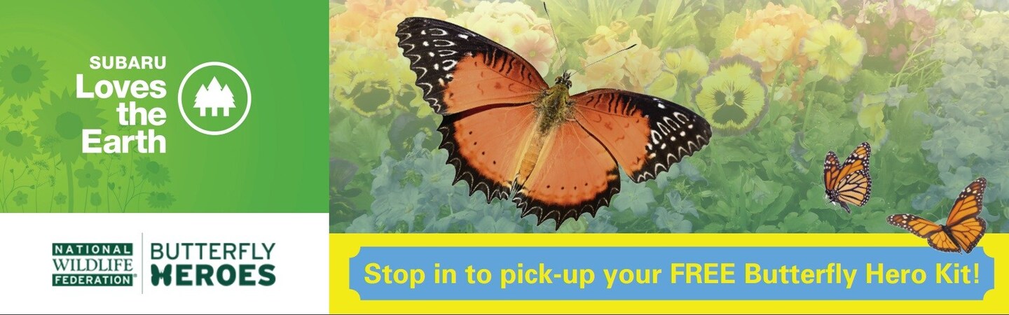 Proud to Support the National Wildlife Federation Butterfly Heroes ...